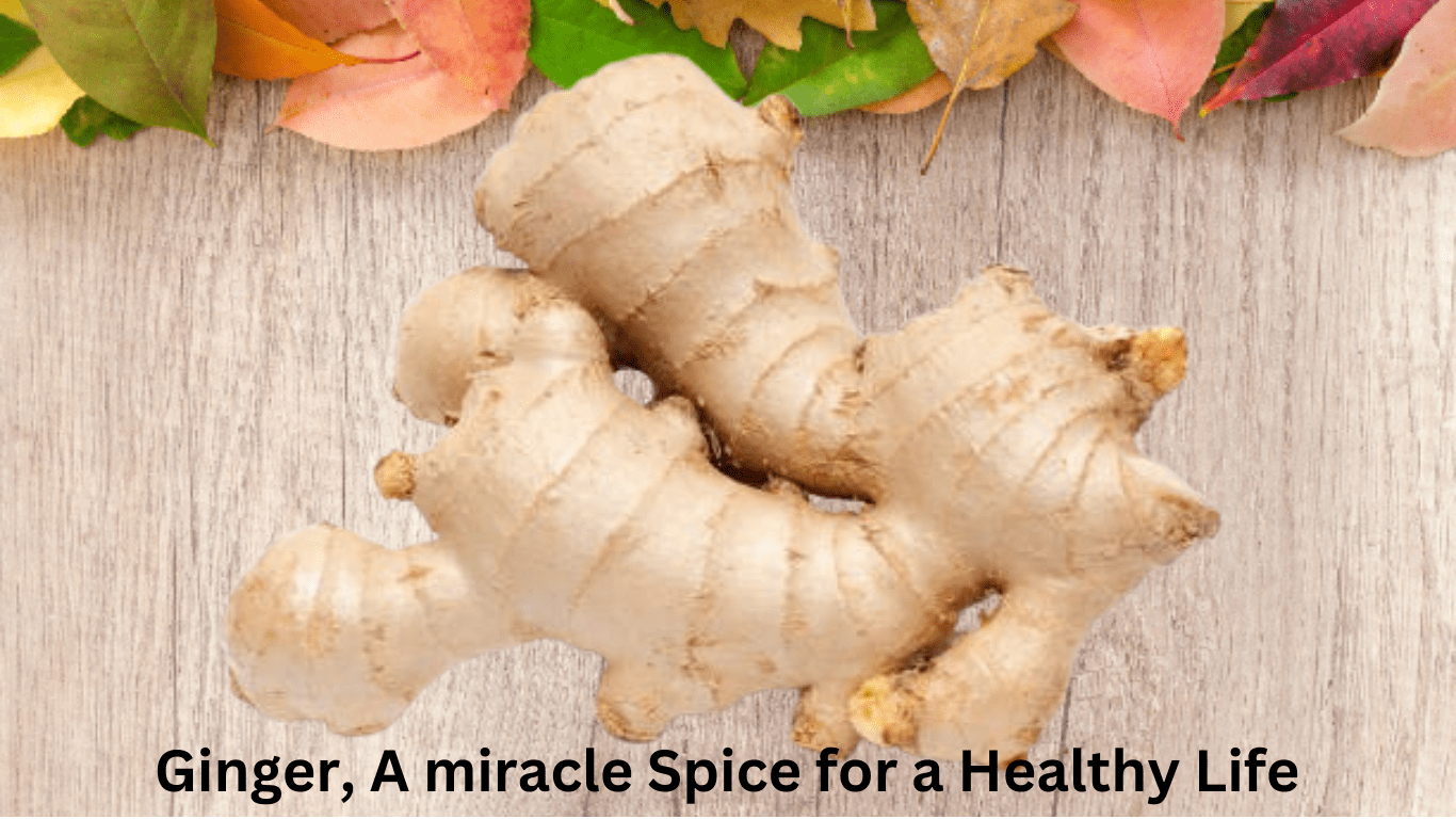 Ginger, A miracle Spice for a Healthy Life